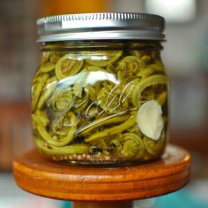 Recipes – ForageGirl Fiddleheads